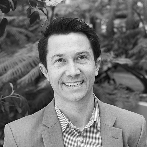 Company - Addinsight